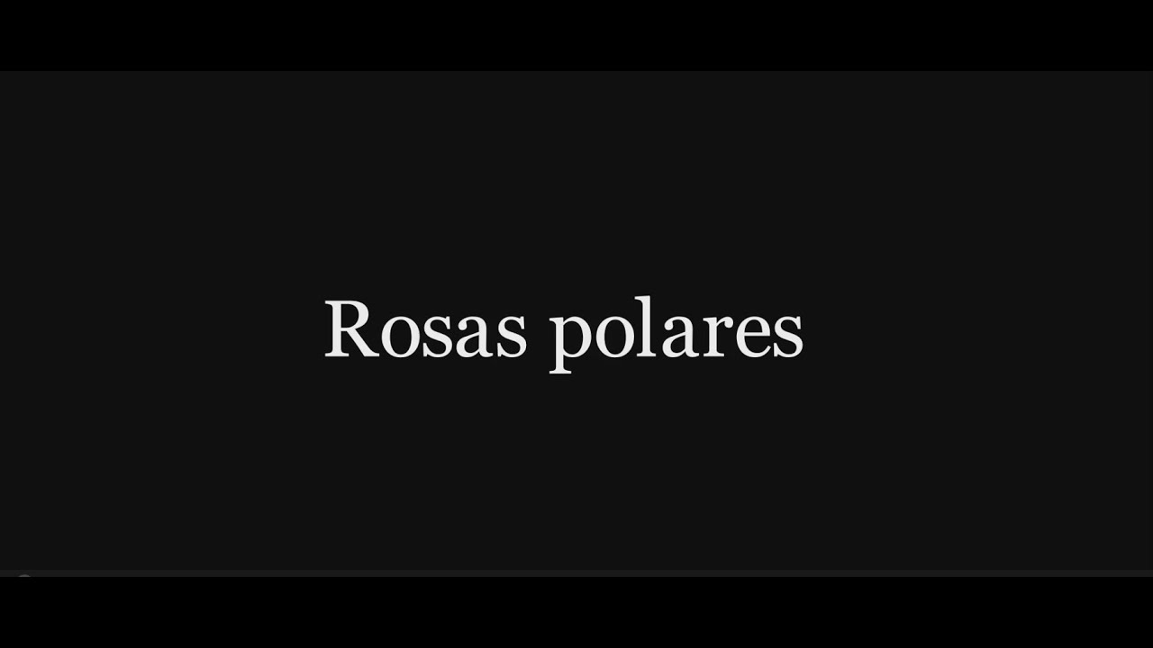 Rosas polares #premiosemmynoether - YouTube