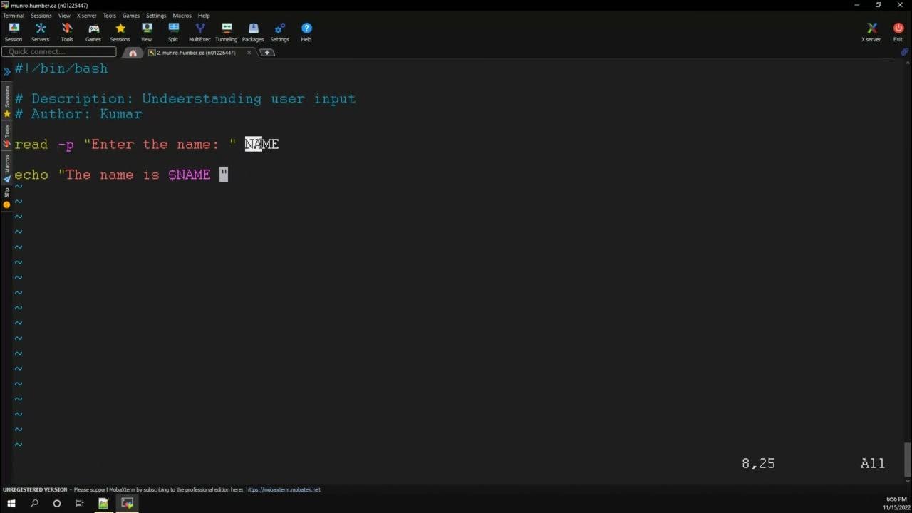 03 Variables User Input Youtube