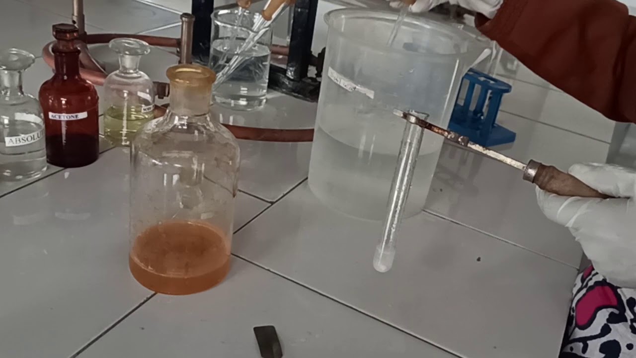 Experiment no : 15 To perform and report identification test on sample ...