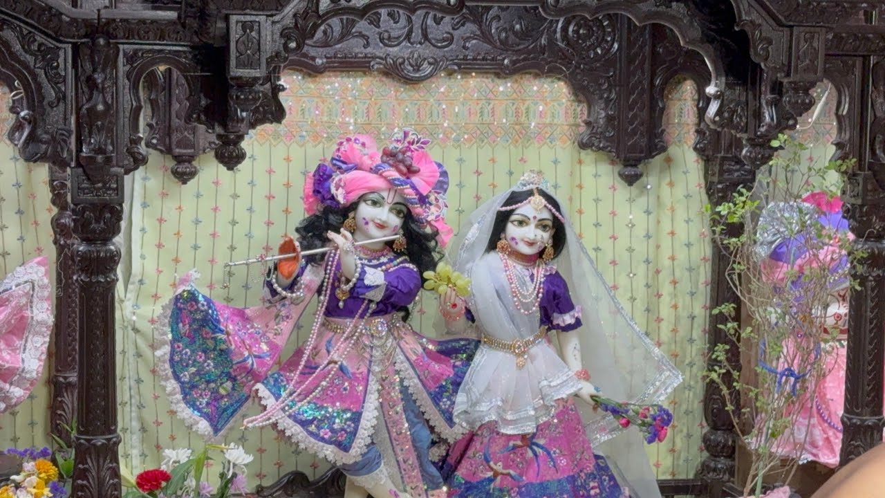 Holi celebration and Abhishek at Iskcon temple Tokyo - YouTube