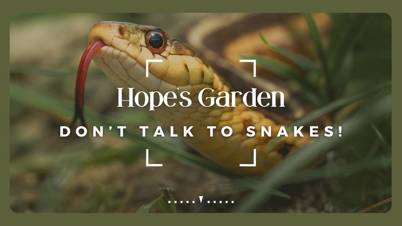 Don't Talk to Snakes! - YouTube