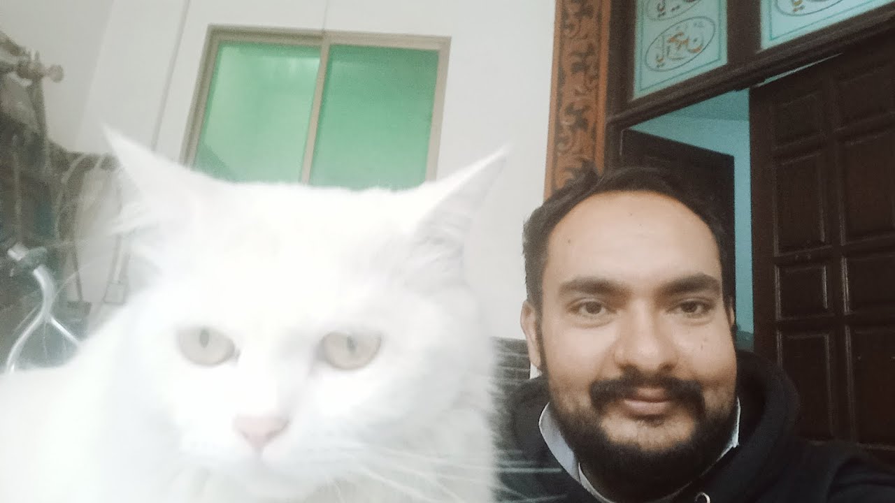 FIRST CAT VLOG WITH FACECAM #cat #cats #chicken #animals #pets #cute # ...