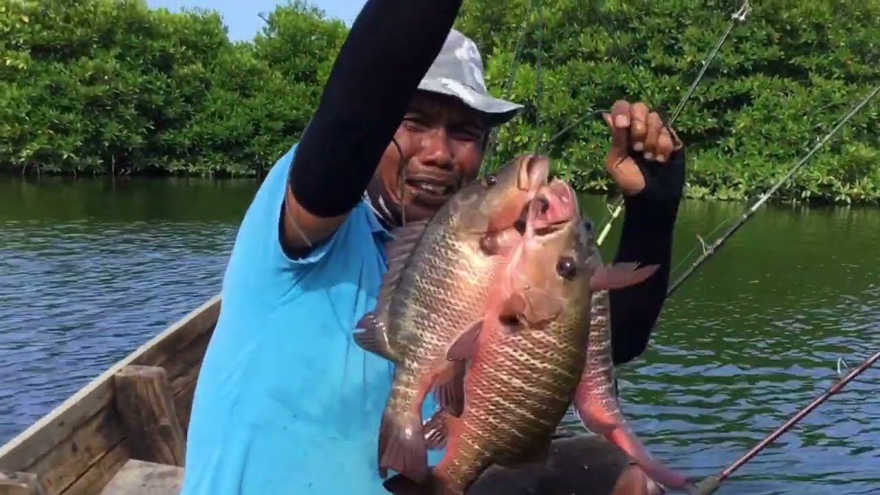 TERBUKTI..!.CIRI-CIRI SPOT TERBAIK IKAN PREDATOR MANGROVE/MJ #Mancing ...
