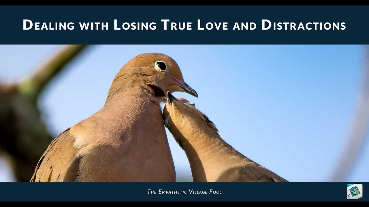 Dealing with Losing True Love and Distractions | The Empathetic Village ...