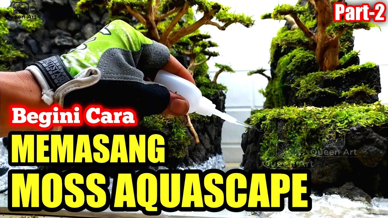 Planted Tank - How to Planting Moss Aquascape - Waterfall Aquascape ...