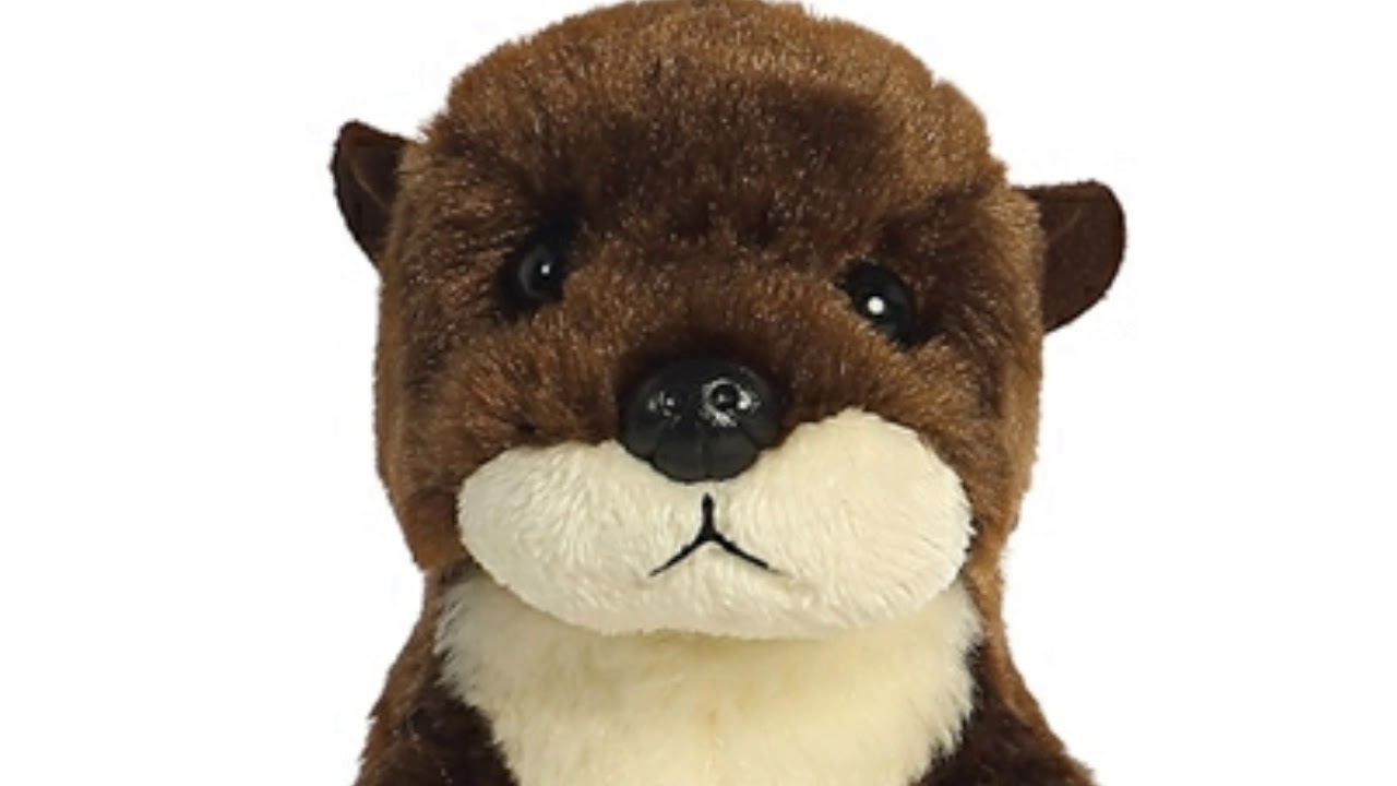 Hi The Shadow Reader - YouTube