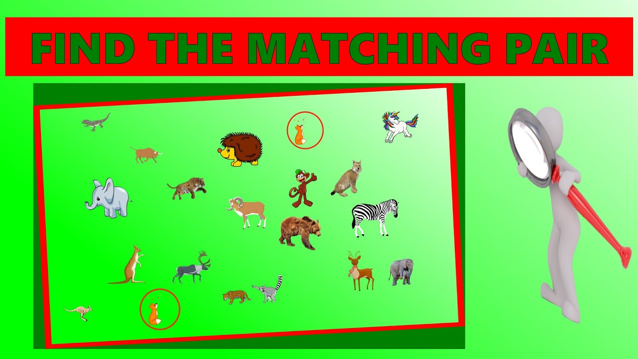Find the Matching Pair #37 | Spot and Find - YouTube