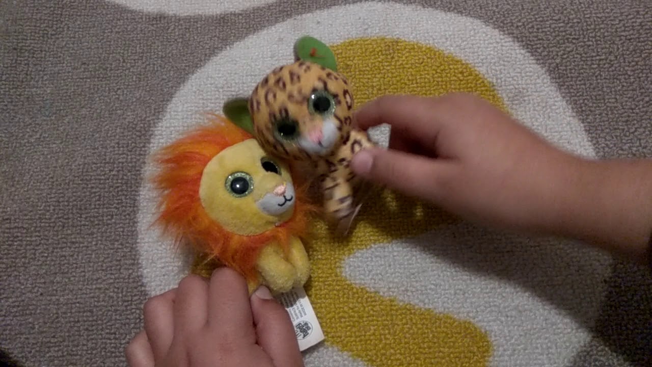 Beenie boo collection - YouTube
