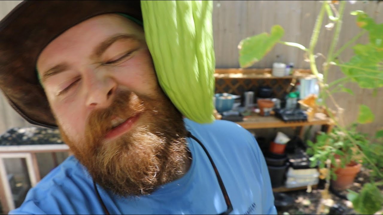 Big Chicken Lil Ranch Trailer; O Fortuna Dramatic Video - YouTube