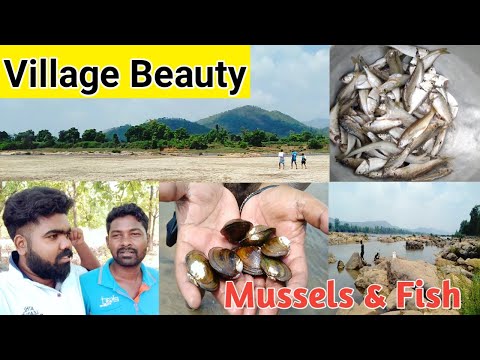 Chalo Gaon Ghumne II Nadi Me Mussels & Machli Pakadne II Barkote Nadi II