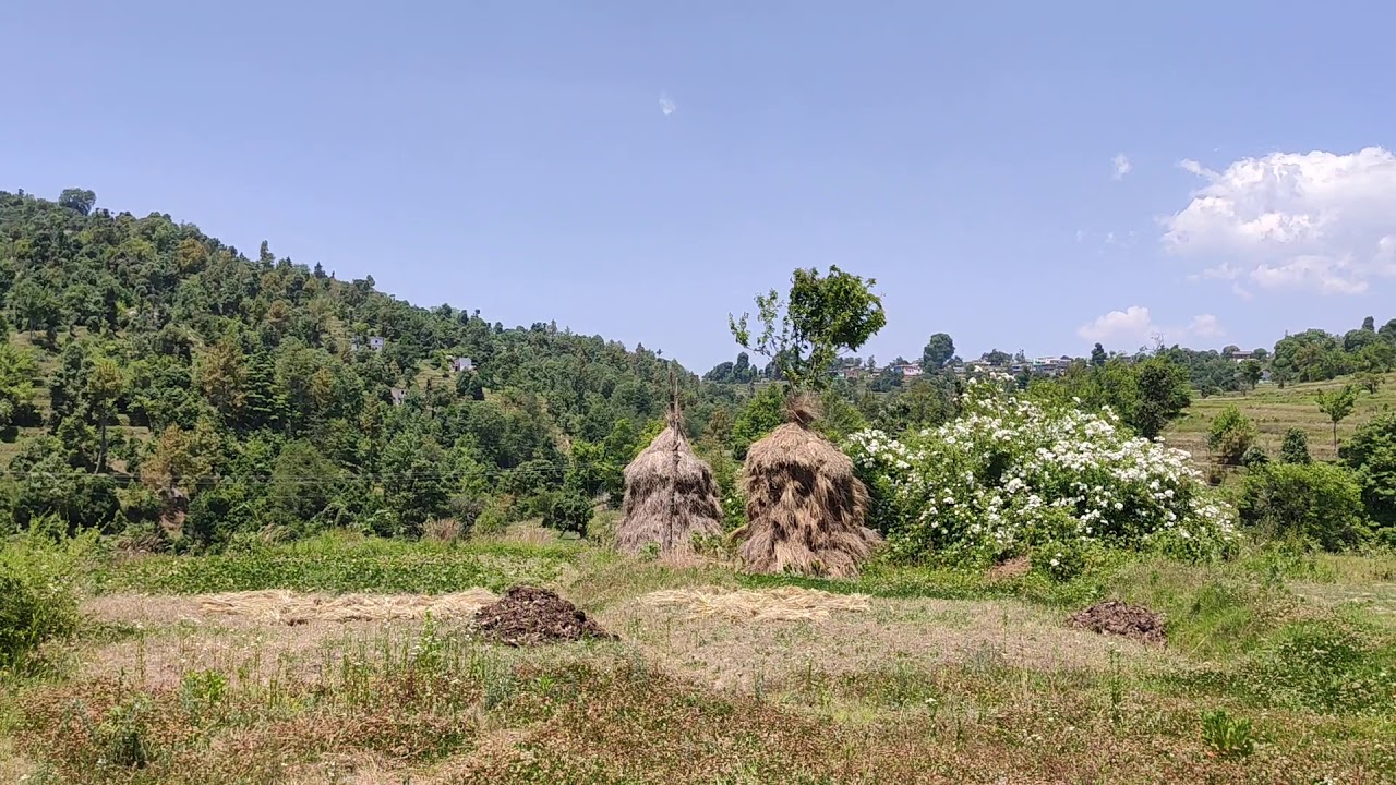 Beauty of nature.........shivalik range Uttarakhand - YouTube