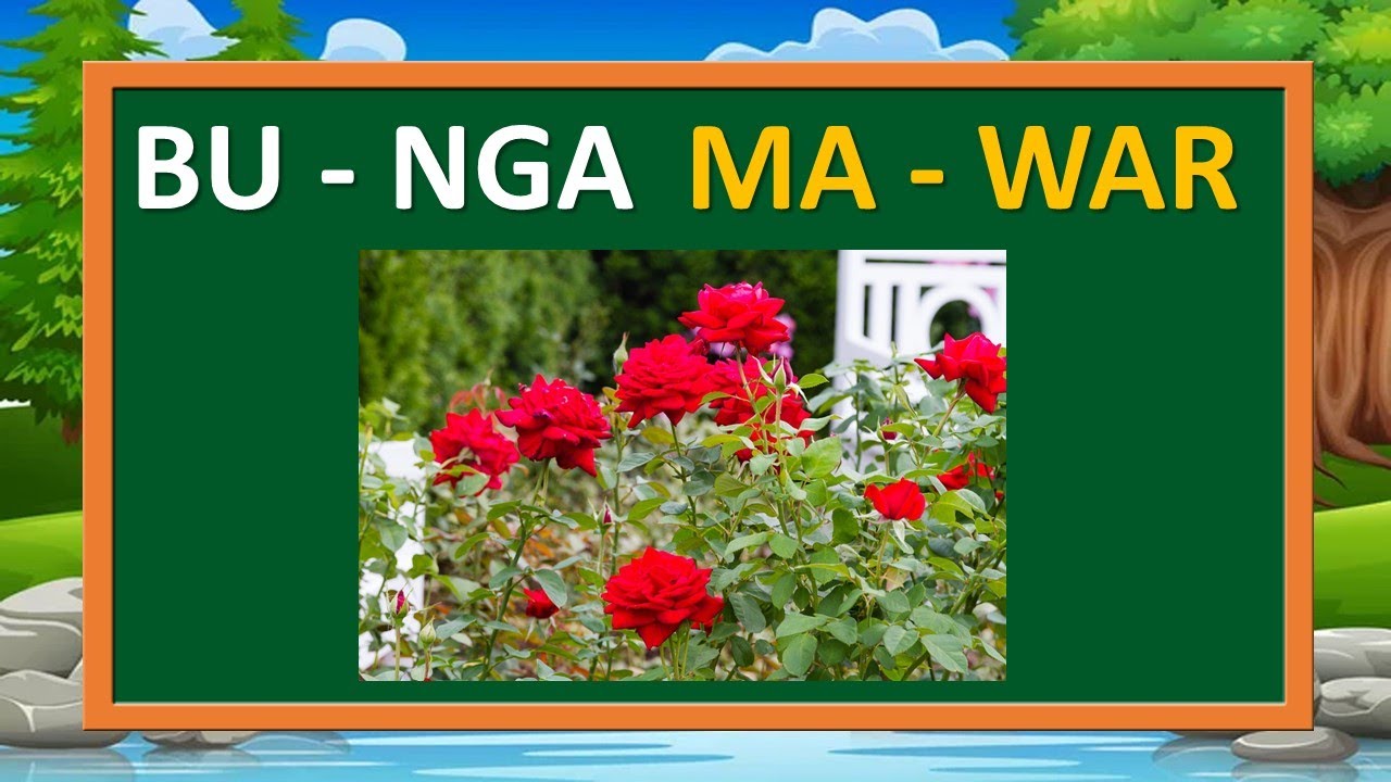 BELAJAR MEMBACA / MENGEJA ABC untuk anak TK, SD dan PAUD - YouTube