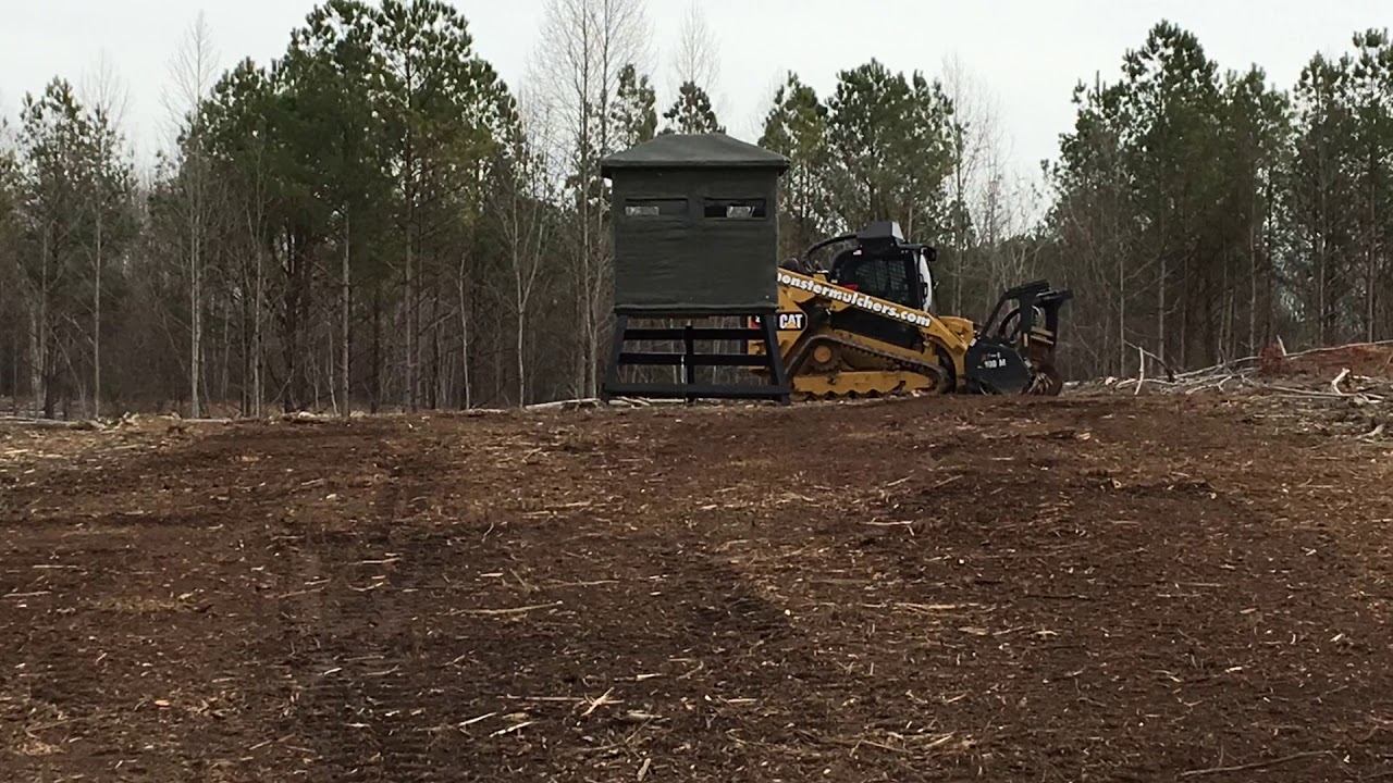 Underbrushing by Monster Mulching Land Clearing - YouTube