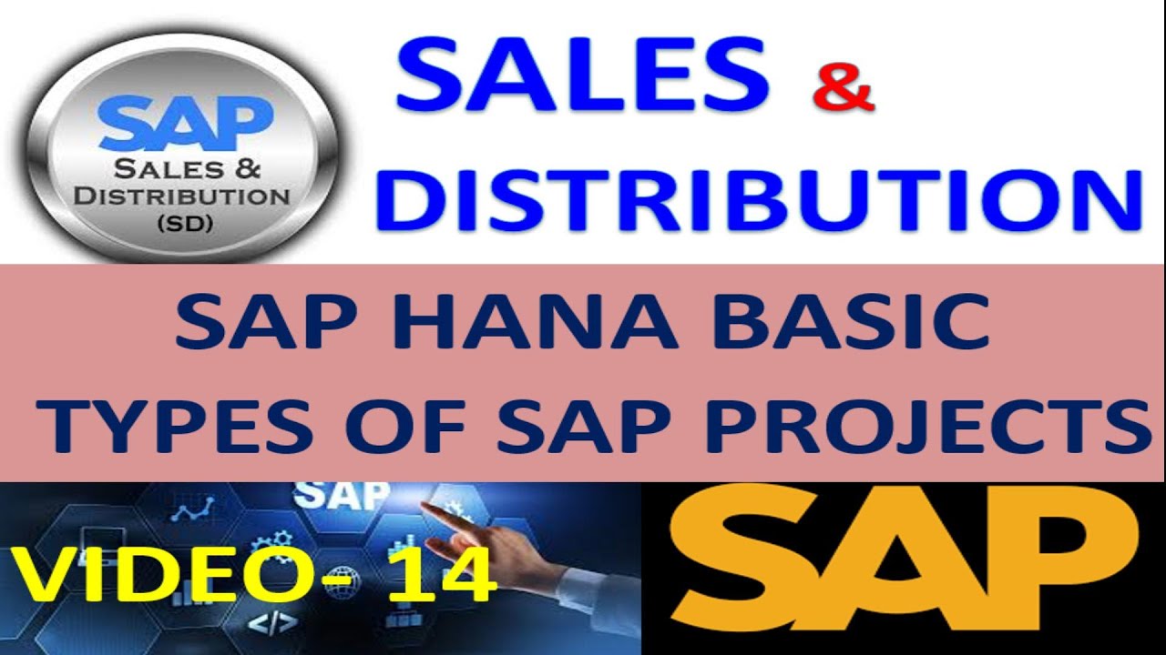 How to Configure S4 HANA basic types of sap projects | Sales Distribution in Sap | DK ...