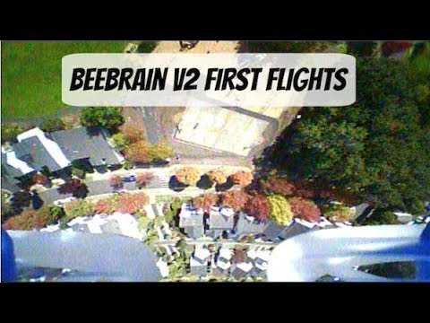 Beebrain V2 first flights - YouTube