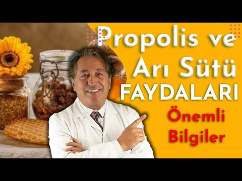 PROPOLİS VE ARI SÜTÜ FAYDALARI
