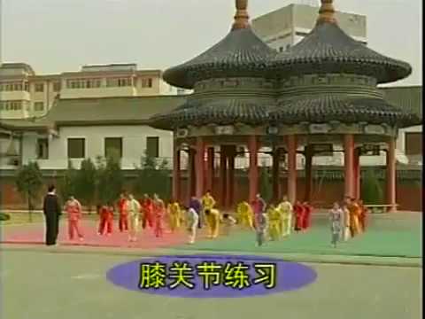Wushu Exercises For Training The Basic Skills || Shaolin Kungfu Wushu ...