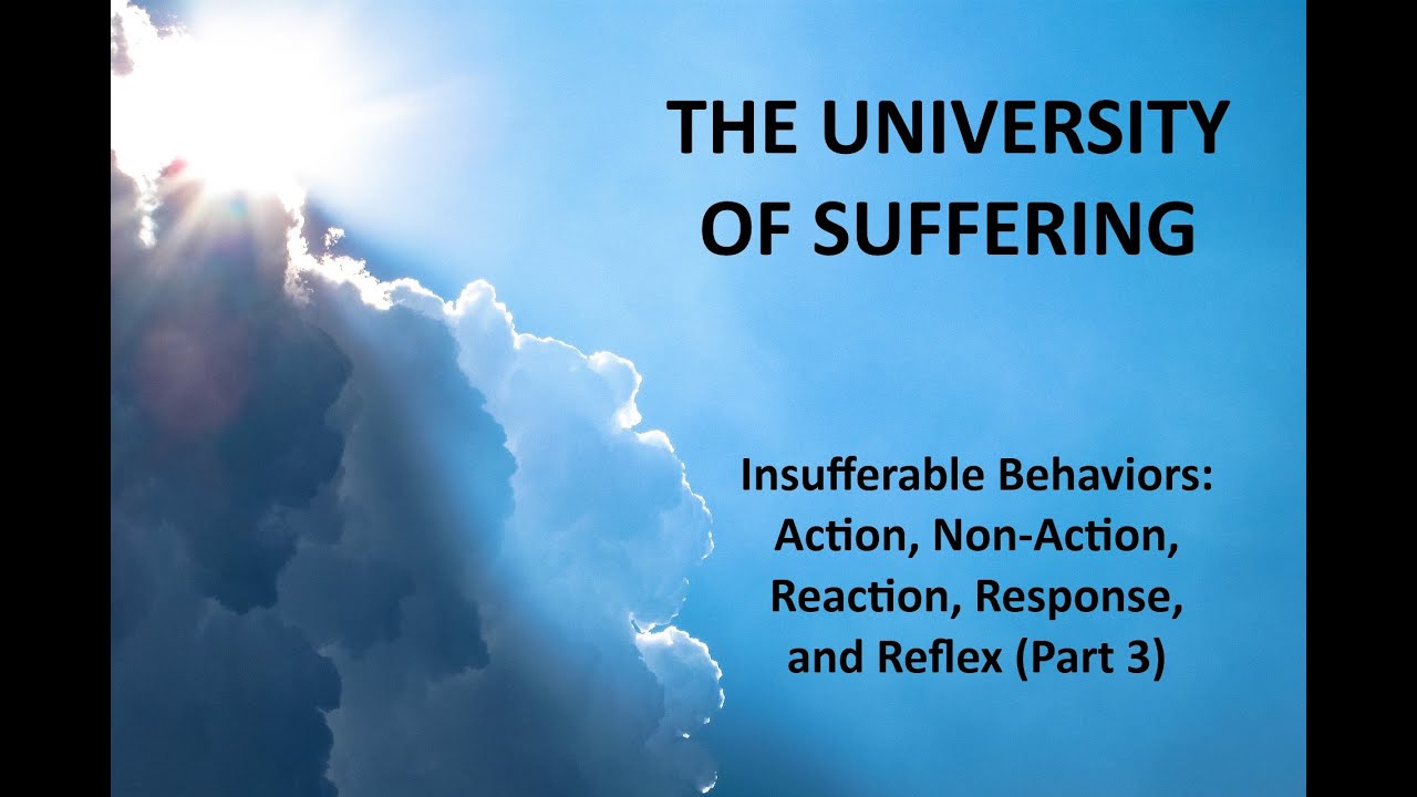 Action, Non Action, Reaction, Response, and Reflex (Part 3) - YouTube