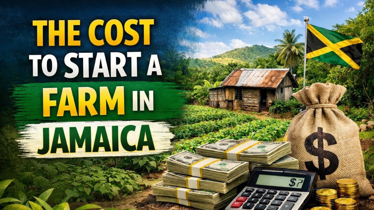 How Much Does It Cost to Start a Small Farm in Jamaica? (Real Numbers ...