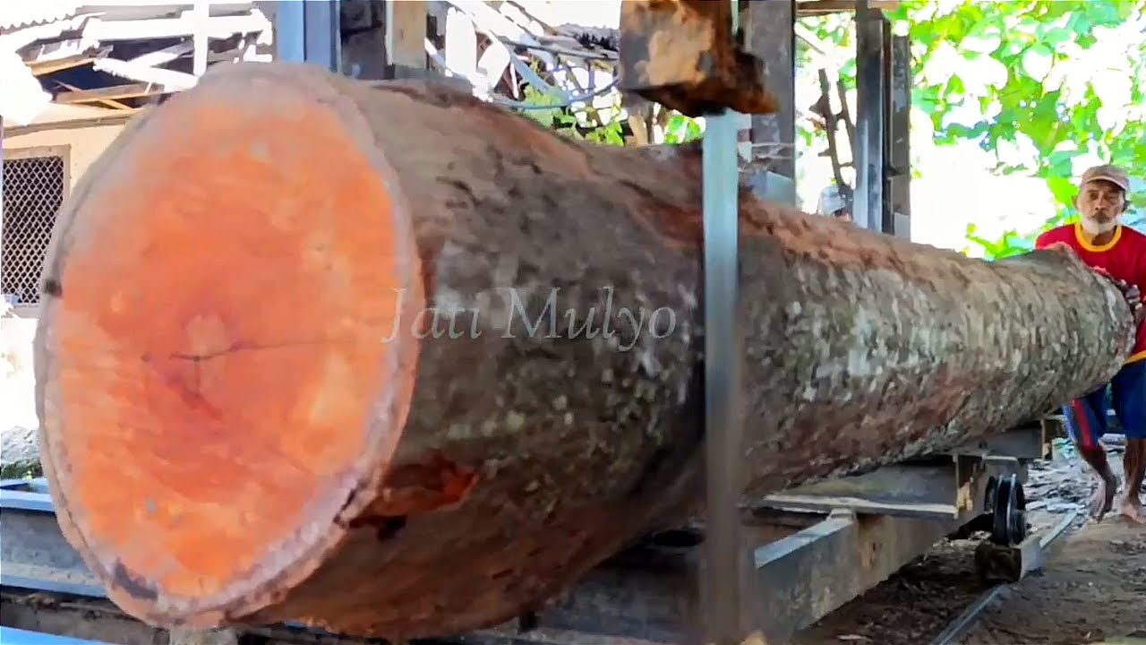 Fantastic process of cutting durian wood into planks for truck backs ...