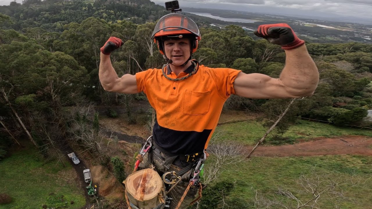 Treework makes you Ripped! - YouTube