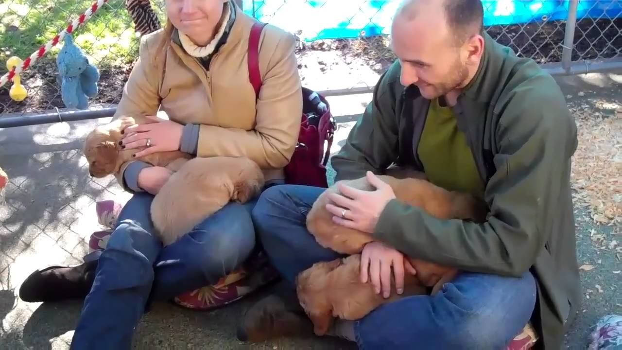 Pixie + Twitch Puppy Visitation 2/19/11 Part 3 - YouTube