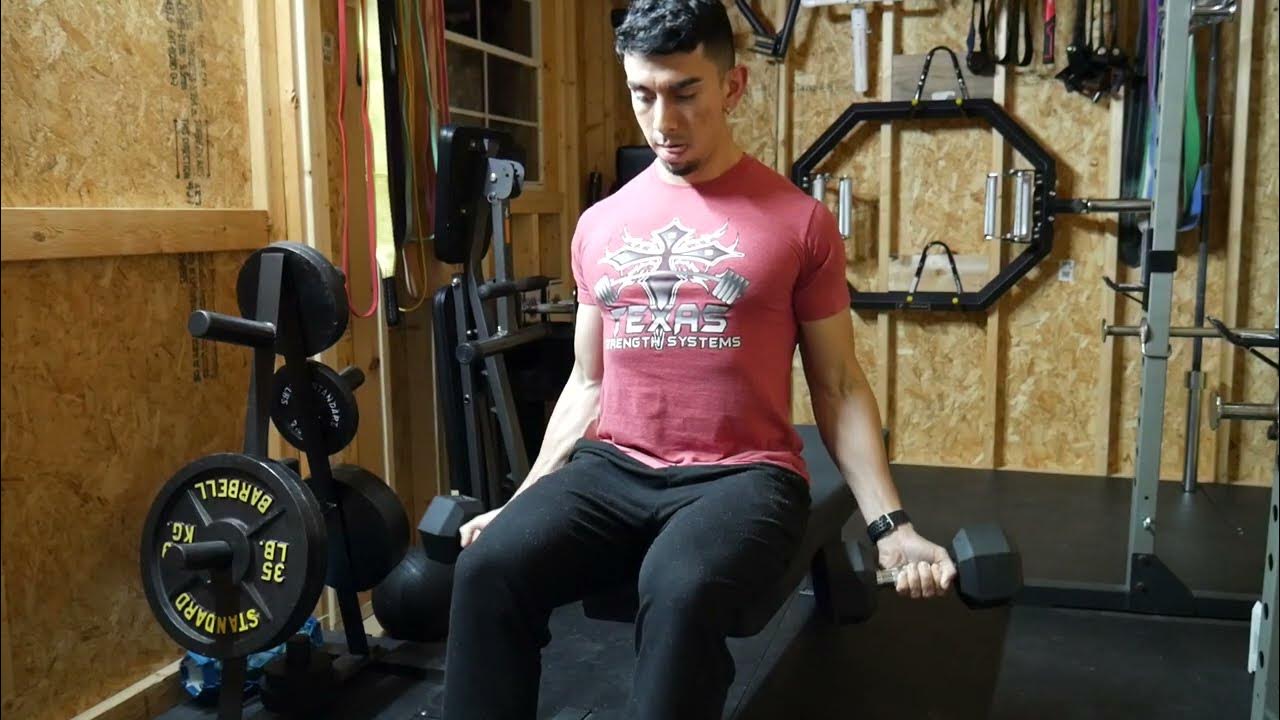 Seated Dumbbell Bicep Curl - YouTube
