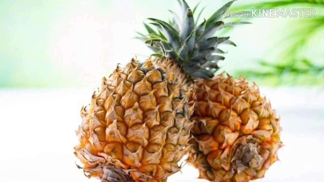 Pineapple story/ Alamat ng pinya - YouTube