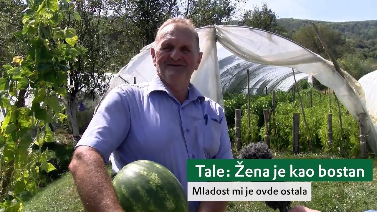 Tale: Žena je kao bostan - YouTube