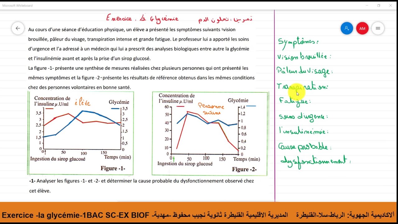 Exercice La Glycémie 1bac Sc Ex Biof Youtube