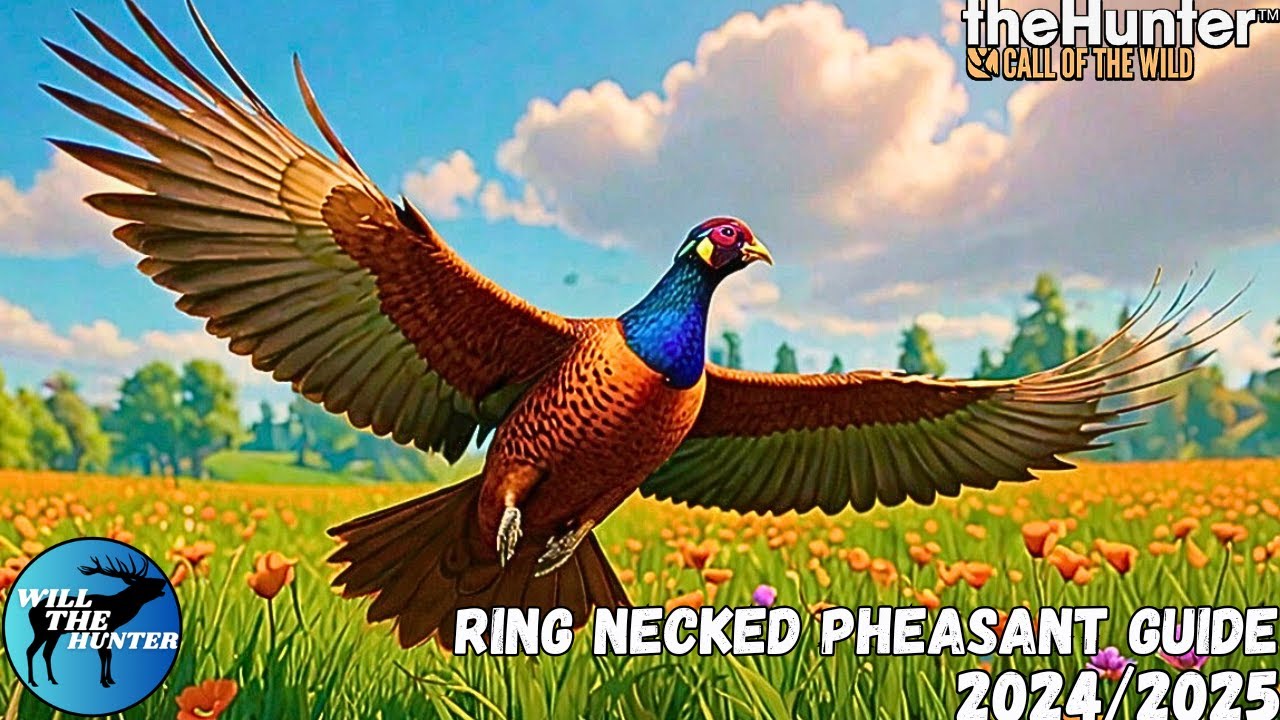 Salzwiesen Park Ring Necked Pheasant Guide | TheHunter Call Of The Wild ...