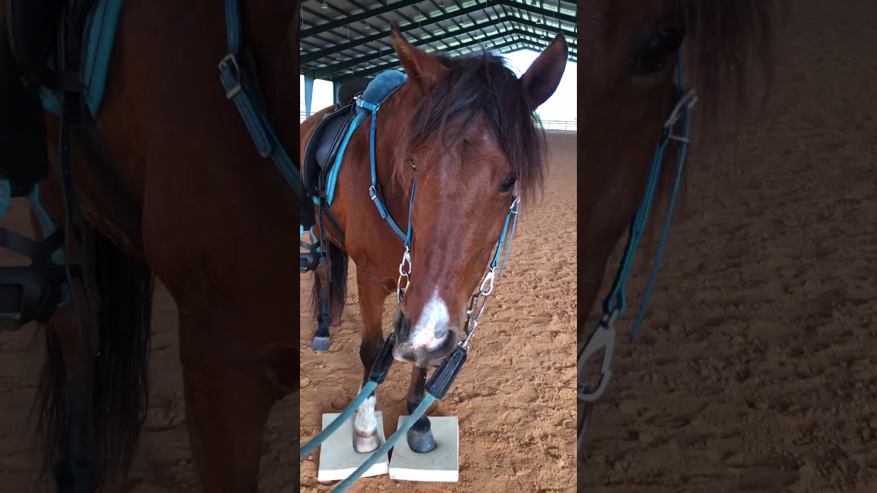 Snip SURE FOOT conflict old and new - YouTube