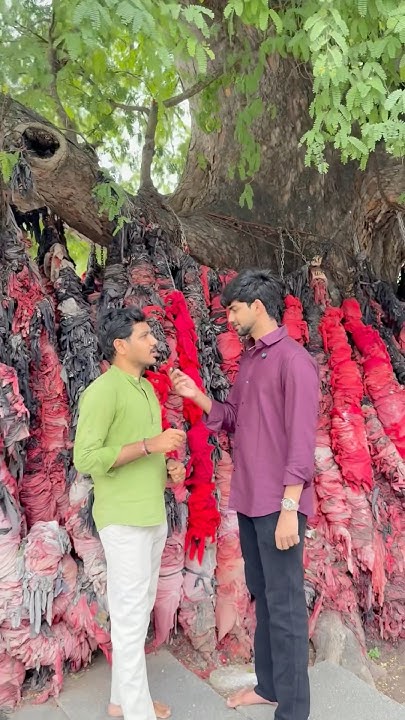 Vellingiri maalai Tree in isha foundation - YouTube