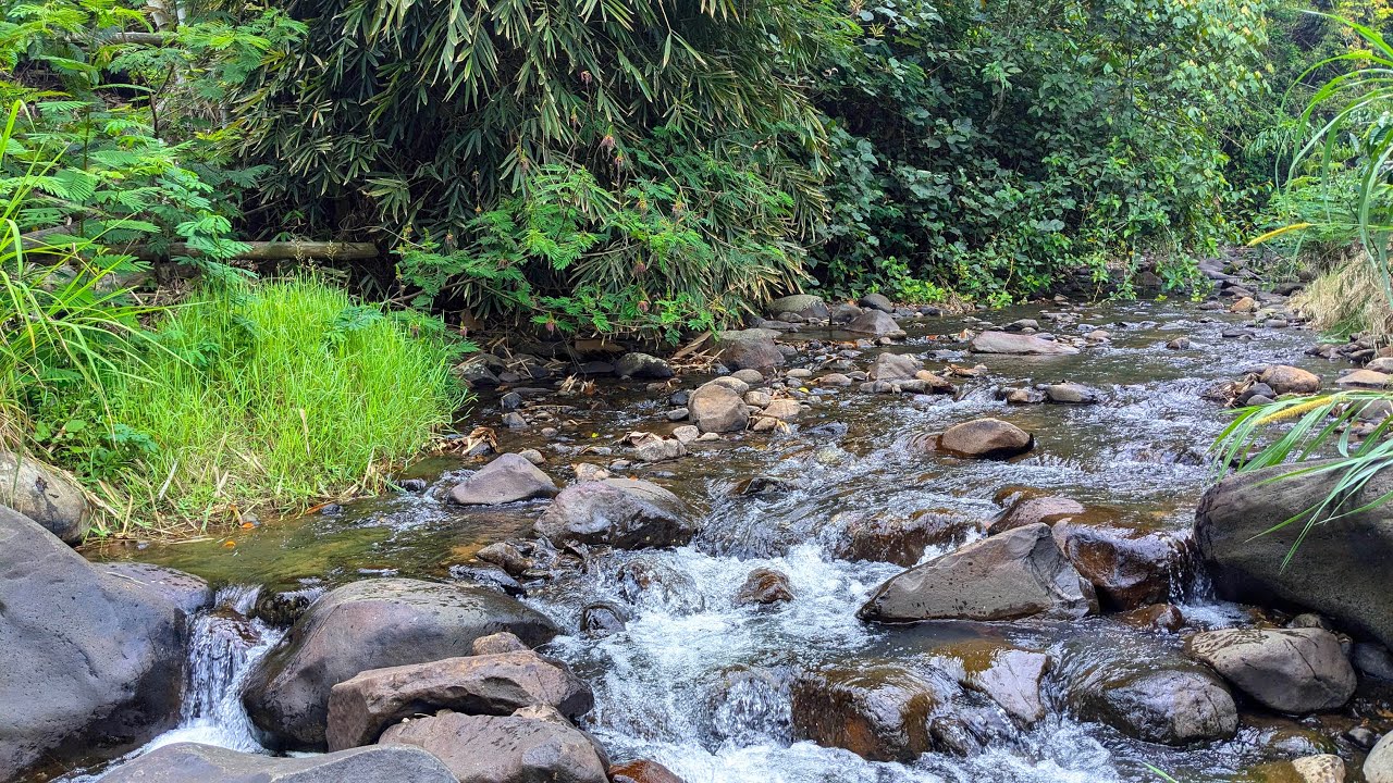 Deep Relaxation & Natural Balance: Soft River Stream Passing Through ...