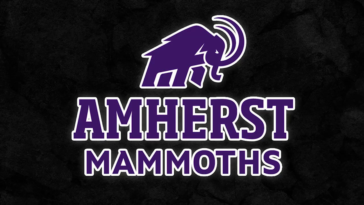 2019 Amherst Men's Soccer NCAA Sectionals Highlights - YouTube