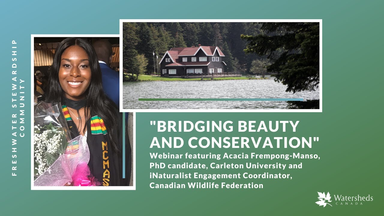"Bridging Beauty and Conservation" webinar with Acacia Frempong-Manso ...
