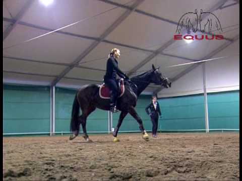 Equus Stage 2008 II°parte - YouTube