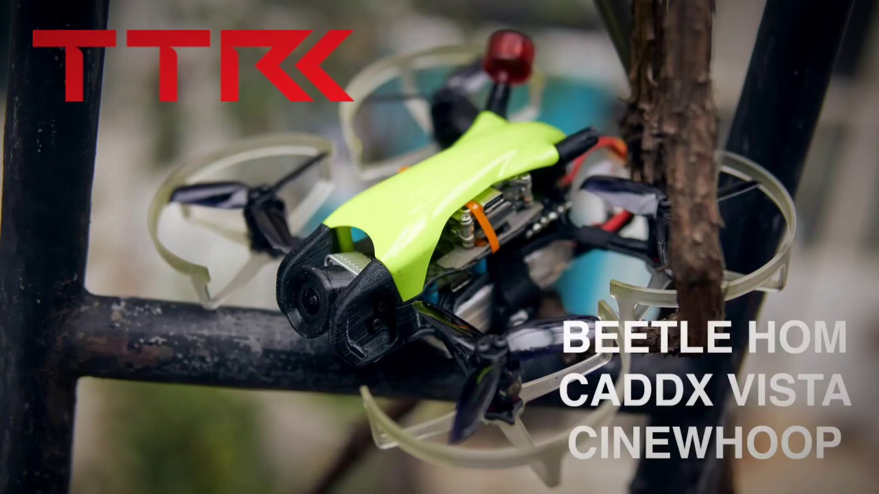 TransTEC Beetle Hom Caddx Vista sweet mix! - YouTube