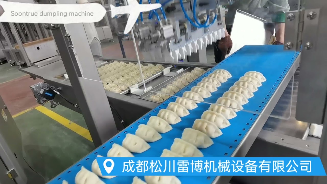 Soontrue dumpling machine--#automatic gyoza machine# robot putting into ...