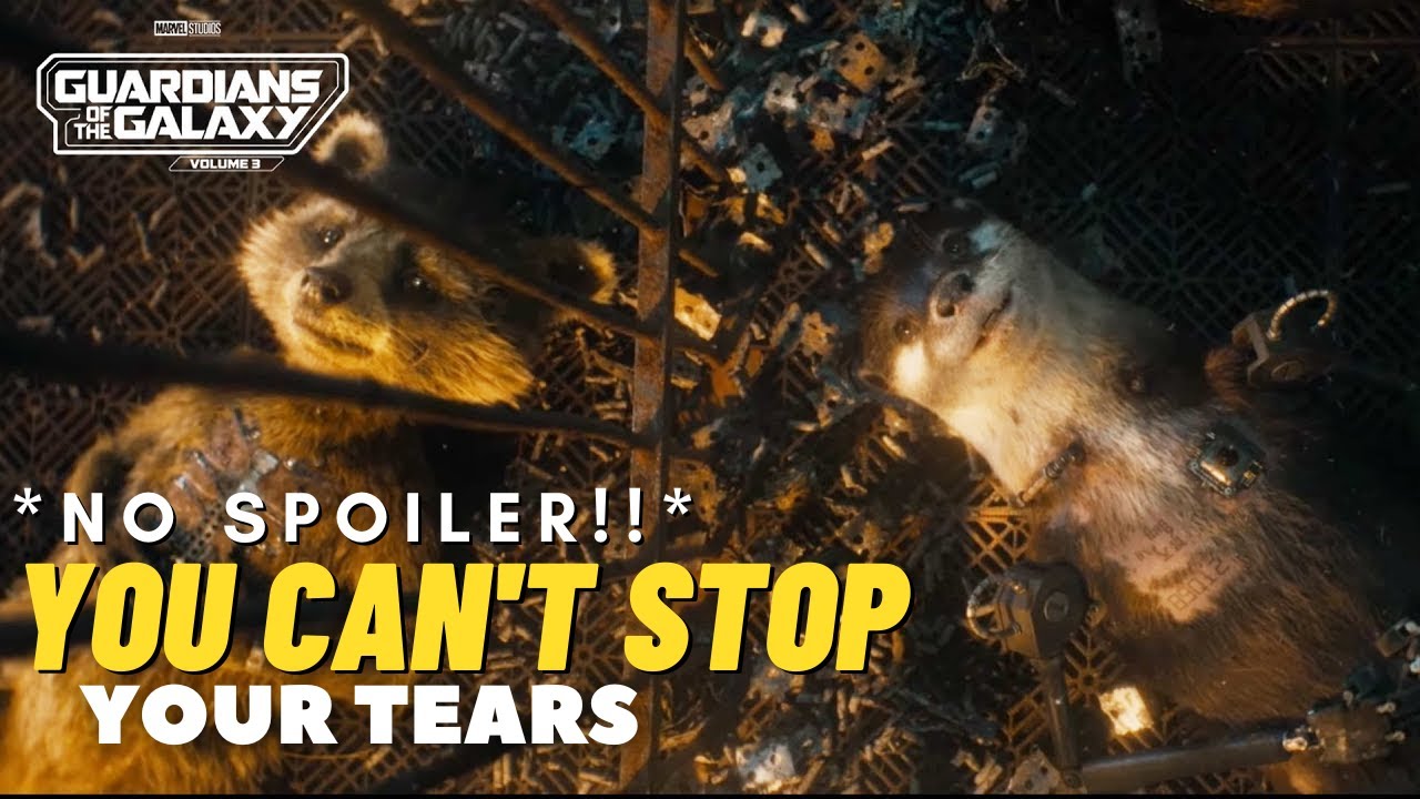 Rocket Racoon Sad Scene (Galaxy Of The Guardians) Vol 3 - YouTube