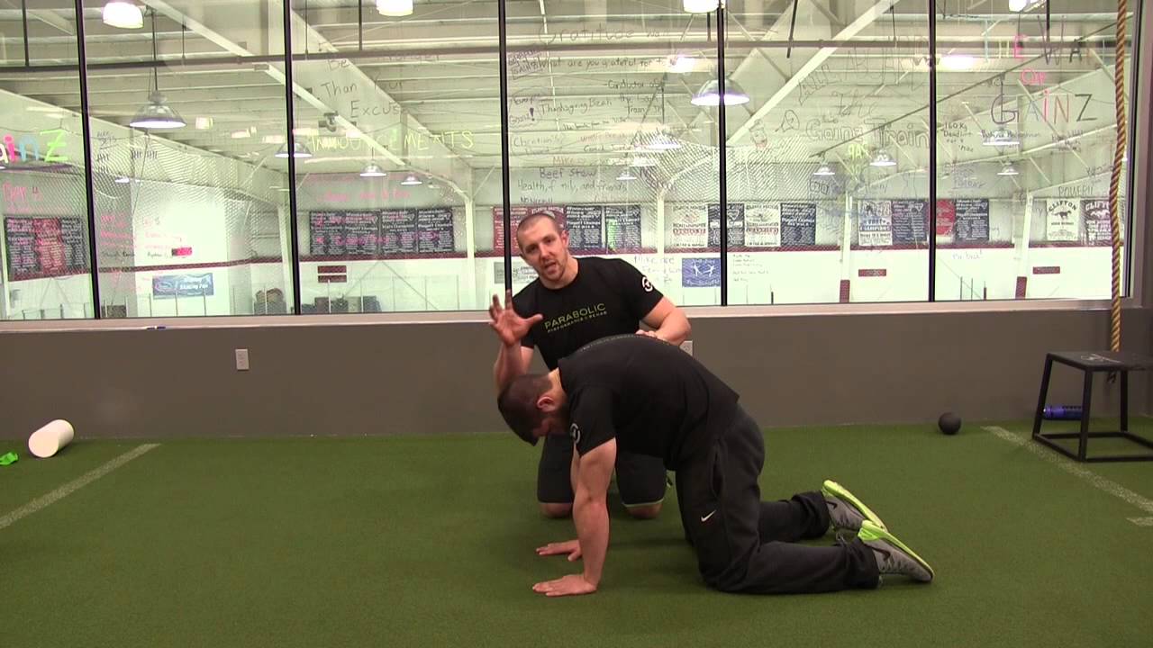 Lift Moore Monday: All Fours Belly Lift - YouTube