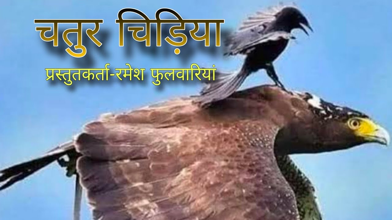 चतुर चिड़िया || Chatur chidiya || Clever Bird @baatarifulwari - YouTube