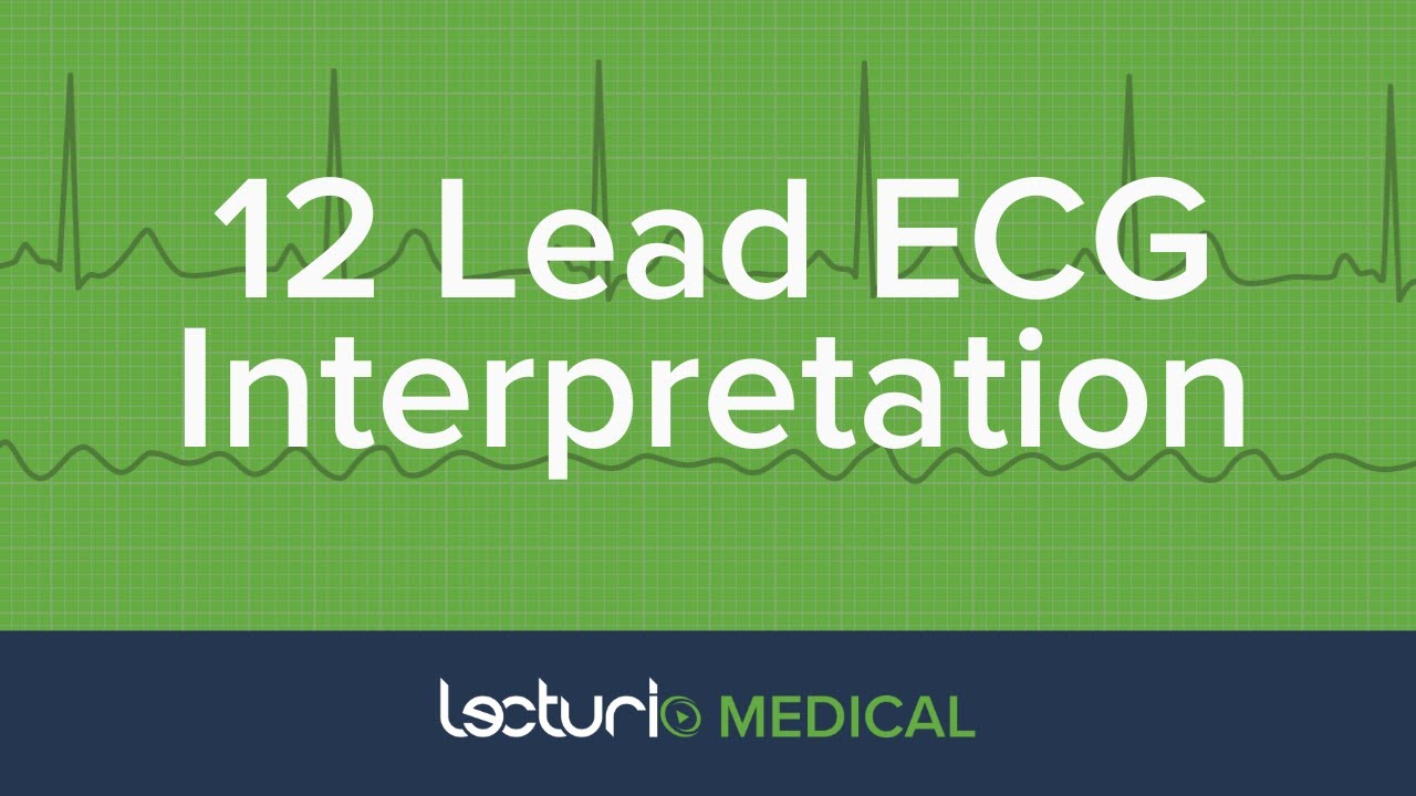 Systematic ECG Interpretation 9 Steps Cardiology YouTube Systematic ECG Interpretation 9 Steps Cardiology YouTube