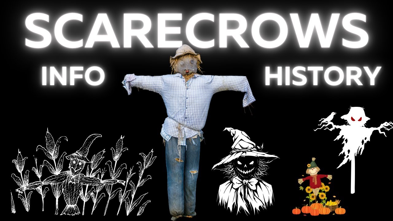 Guardians of the Harvest: Unveiling the History of Scarecrows | An Age ...