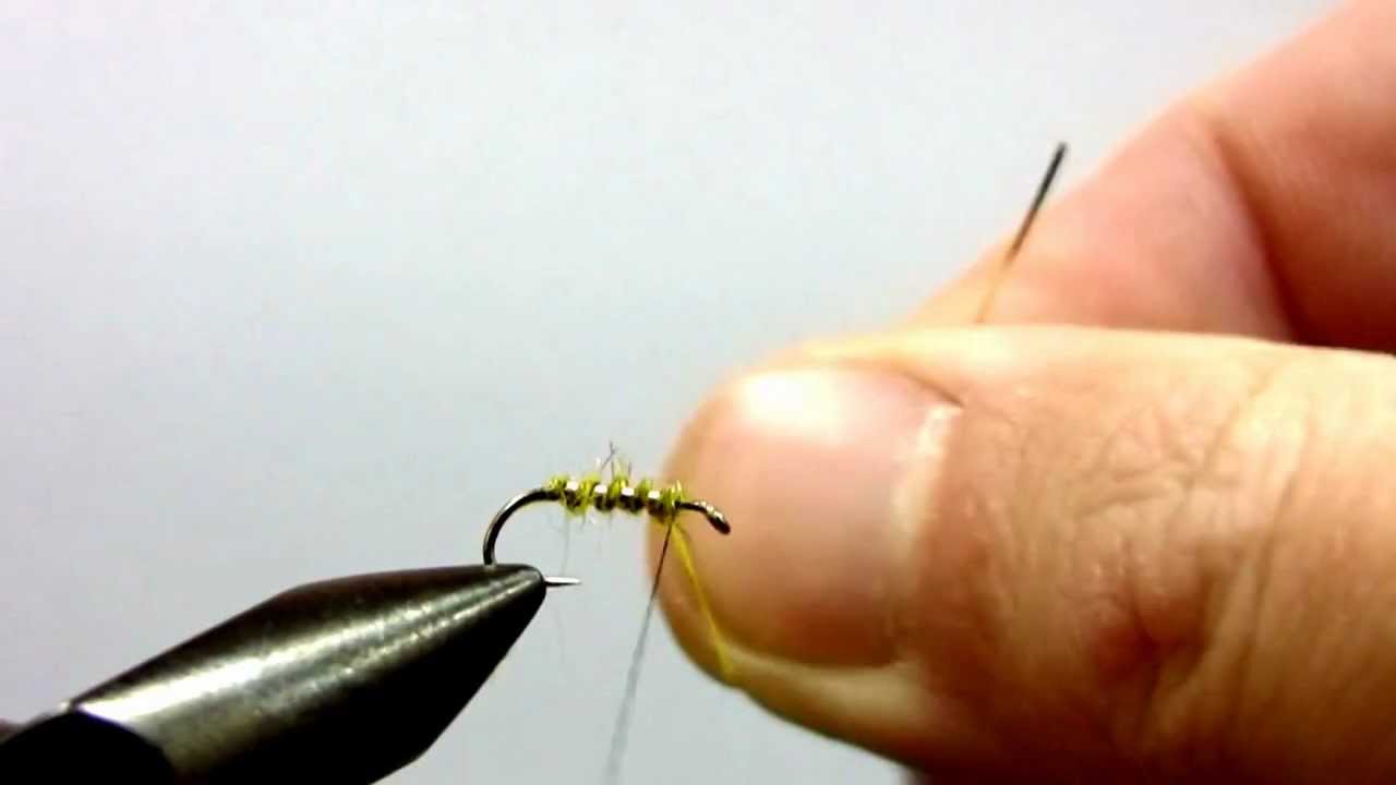 Olive Flymph - YouTube