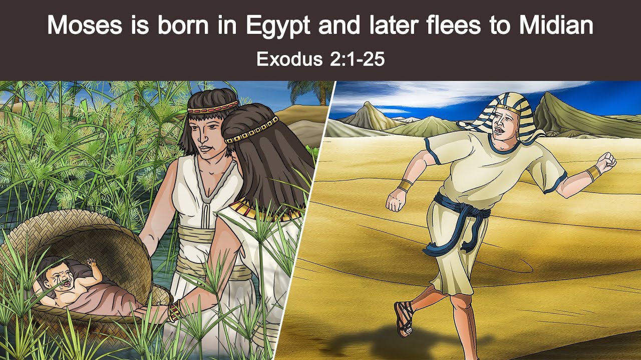 0021 Moses is Born in Egypt and Later Flees to Midian - YouTube