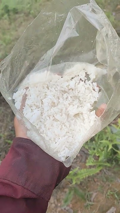 Noj txiv nkhaus taw qab thiab qab heev 2024 - YouTube