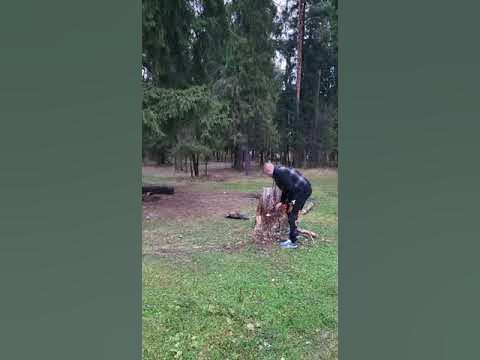 Петарда FPC628 COBRA / Кобра рванула в пне старого дерева - YouTube