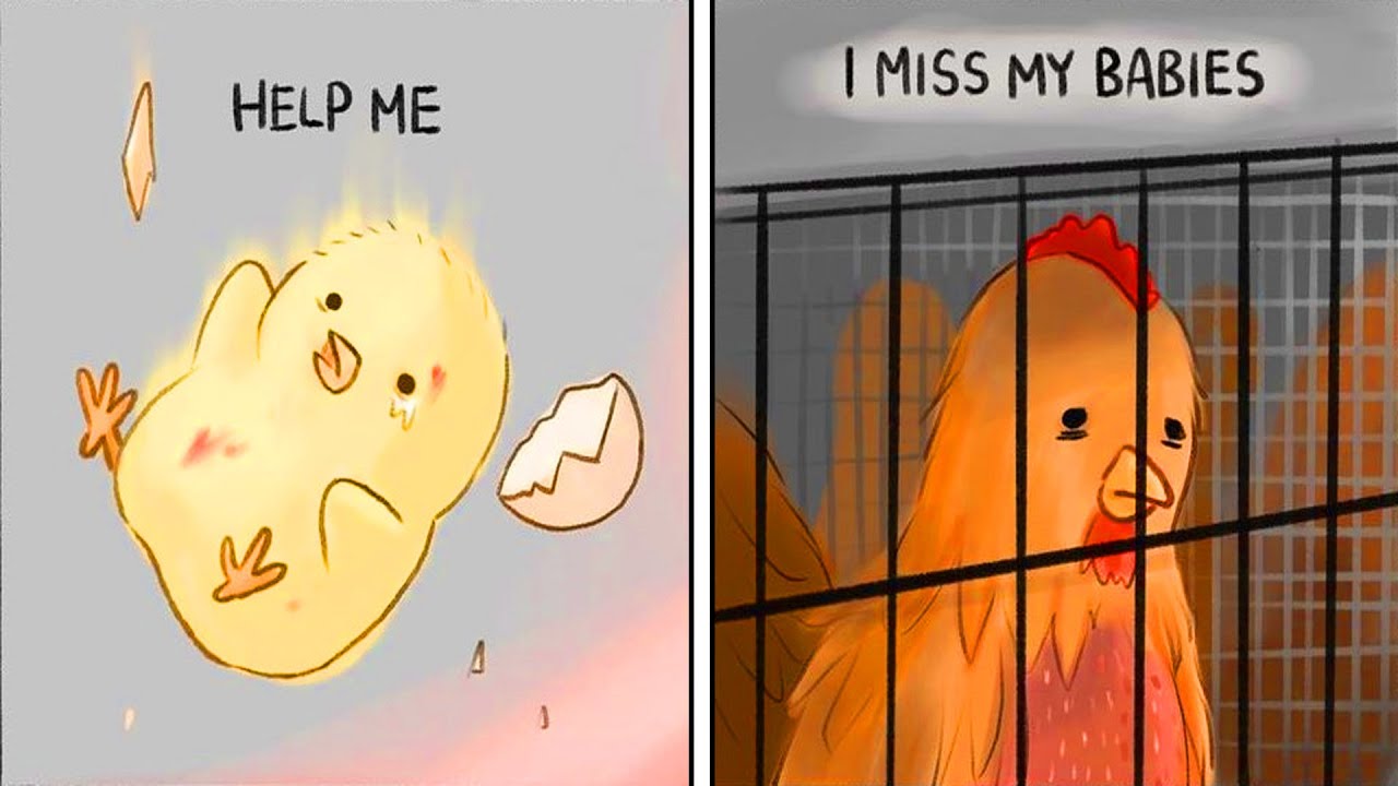 Sad Comics about The Life of Male Chick - Peter - YouTube