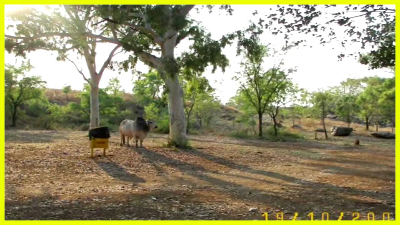 Spring Creek WA Western Australia - YouTube